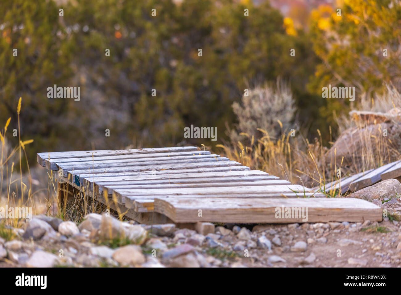 Wooden platform for trials riding on trail Stock Photo - Alamy