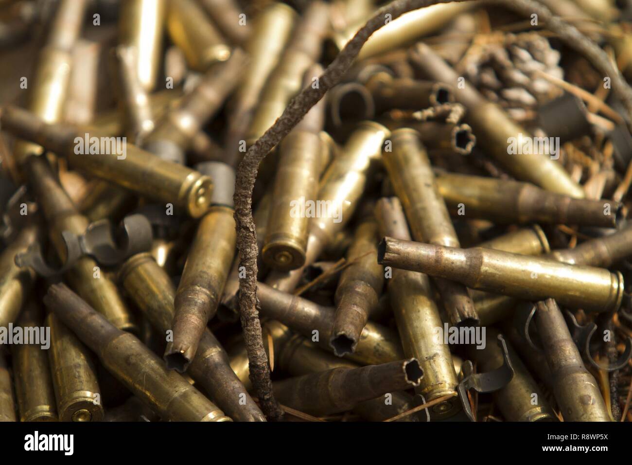 305th machine gun battalion hi-res stock photography and images - Alamy