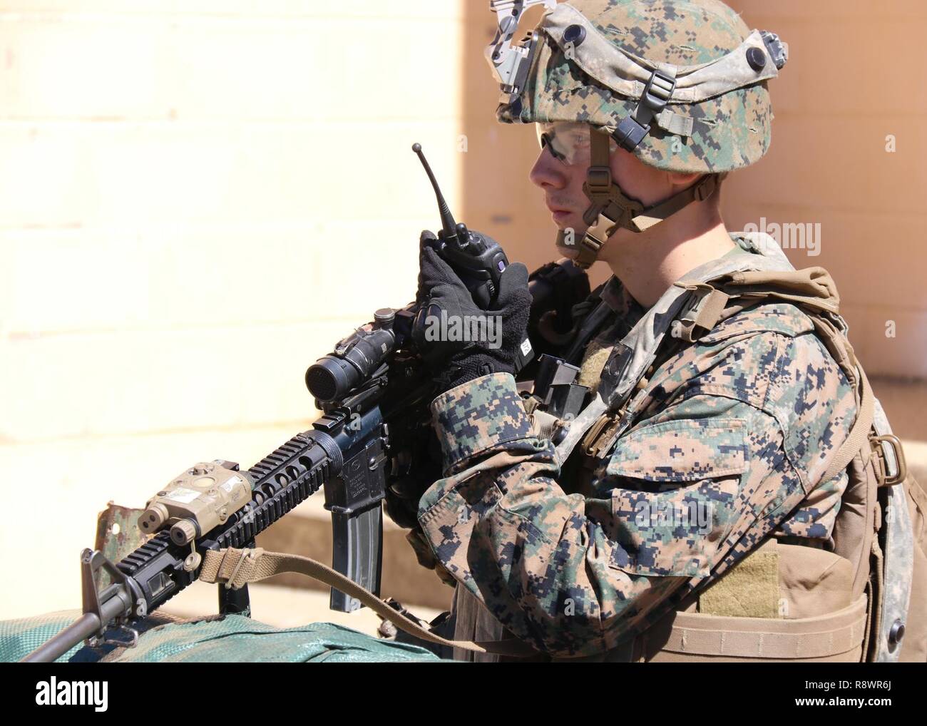 A U.S. Marine with 2nd Air Naval Gunfire Liaison Company (ANGLICO ...