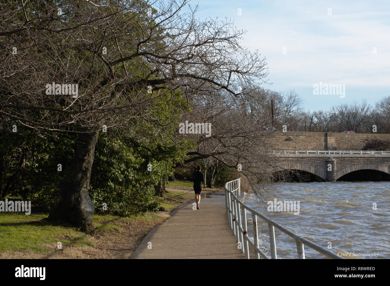 Man running on paved path around Tidal Basin in Washington DC in the ...
