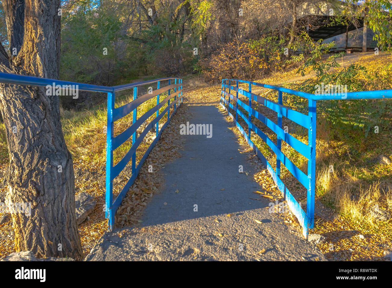 Small bridge over river blue railing centered Stock Photo - Alamy