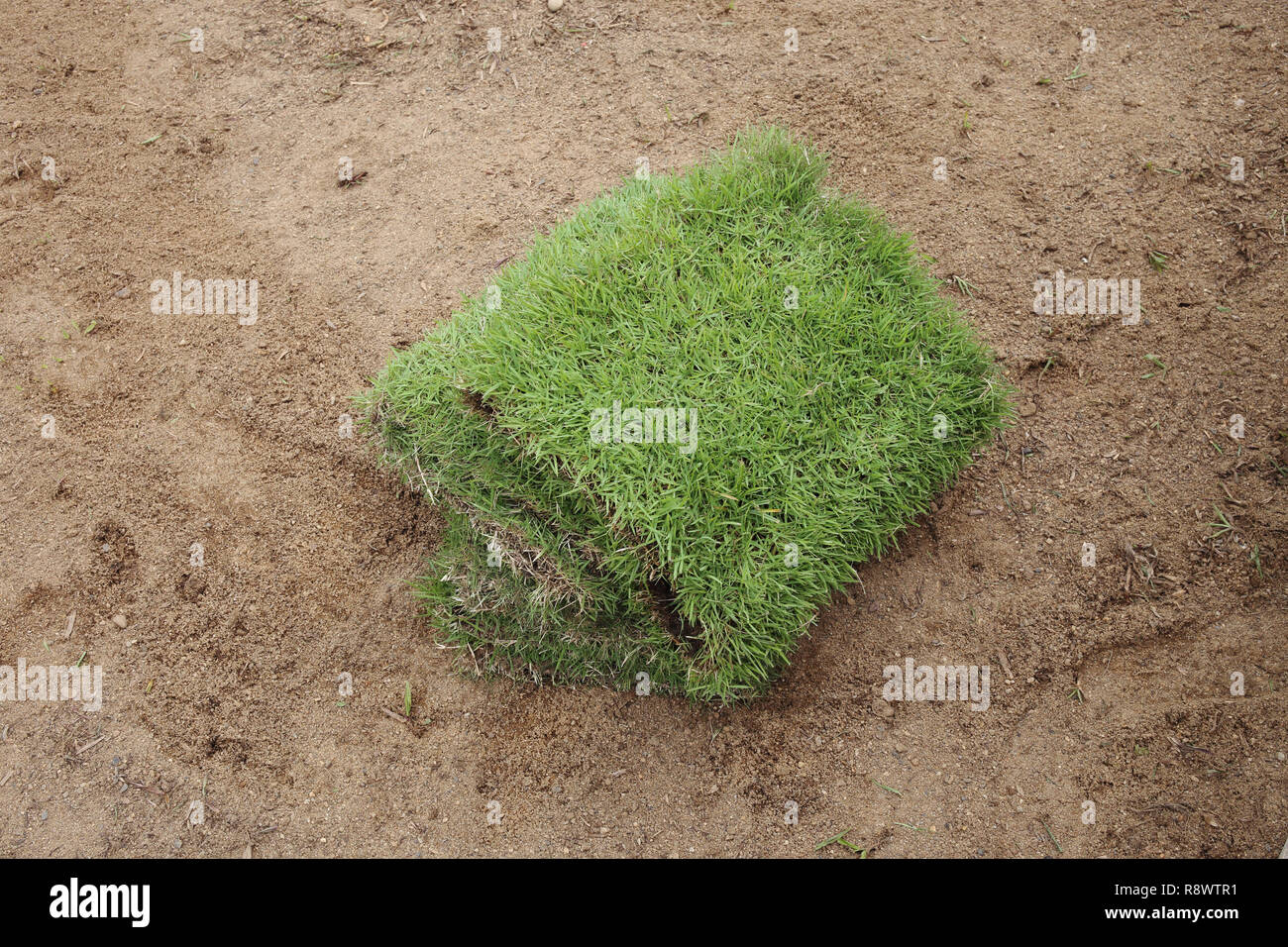 Instant gardener hi-res stock photography and images - Alamy