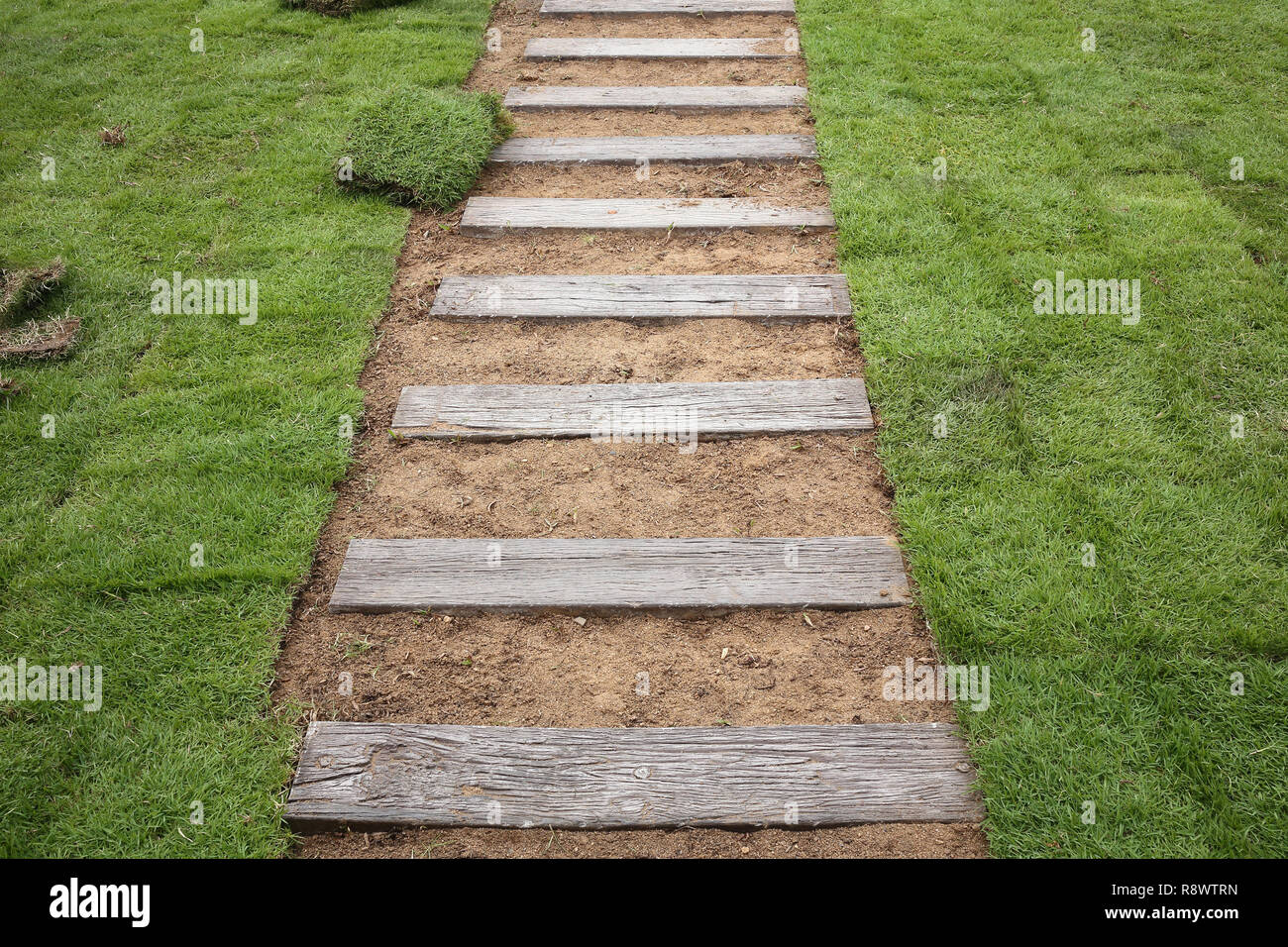 New grass, planting new sod grass in the garden Stock Photo - Alamy