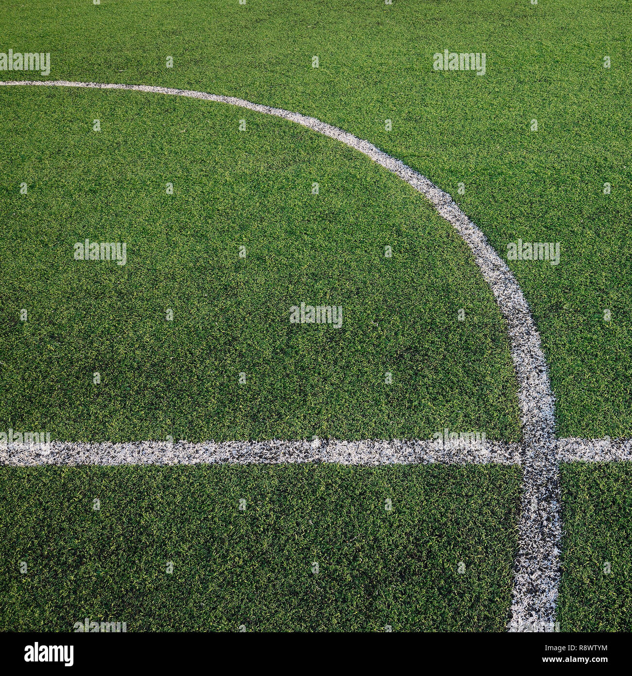 soccer field stadium on the green grass, sport game background for ...