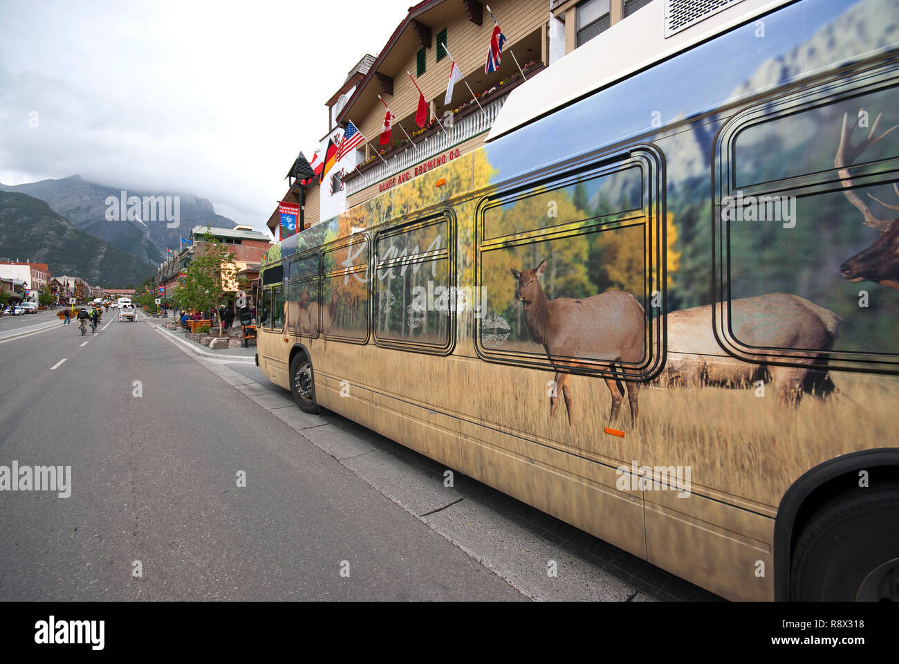 Roam bus with pictures of wildlife in Banff village, Banff National ...