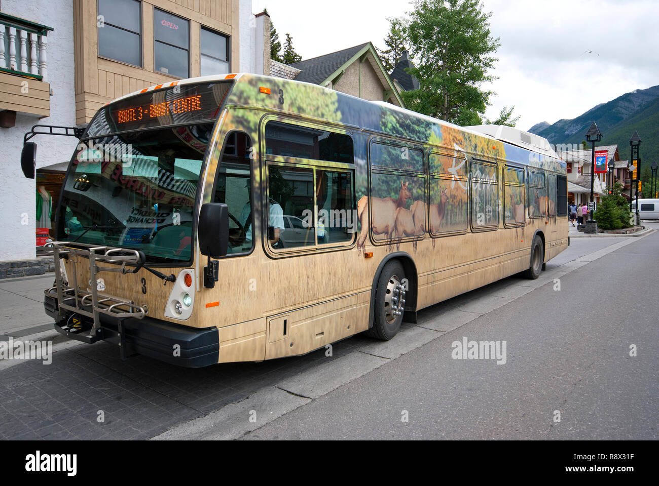 Roam bus with pictures of wildlife in Banff village, Banff National ...