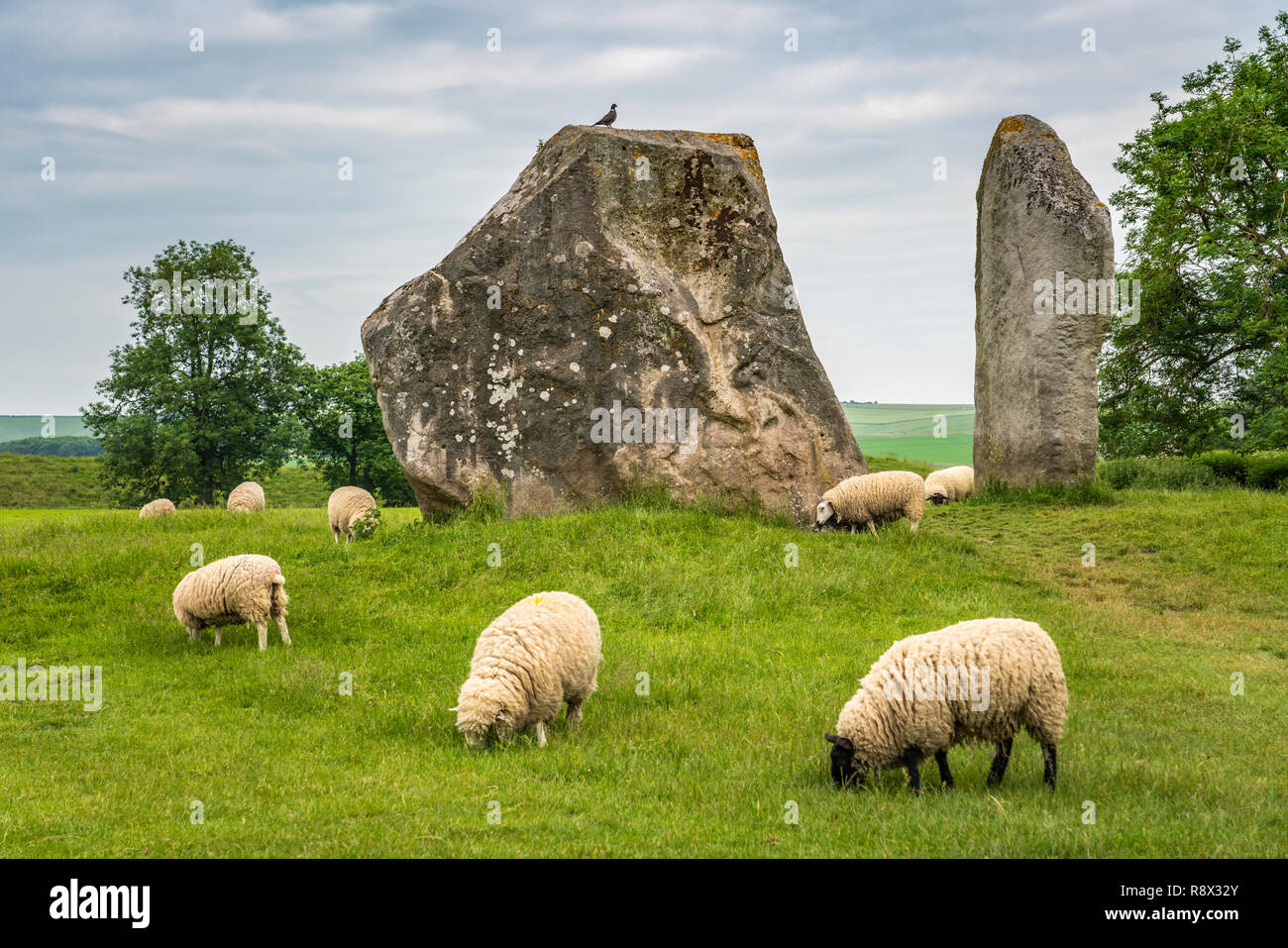 Neolithic stone circles and meadow with sheep grazing in the village of ...