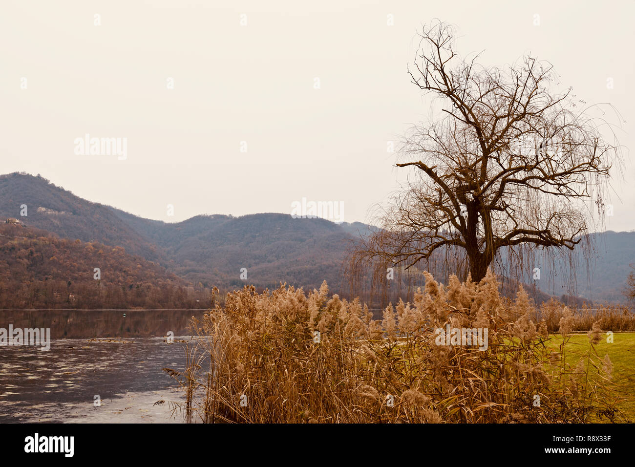 Italy little lake Fimon Vicenza Winter panorama Stock Photo - Alamy