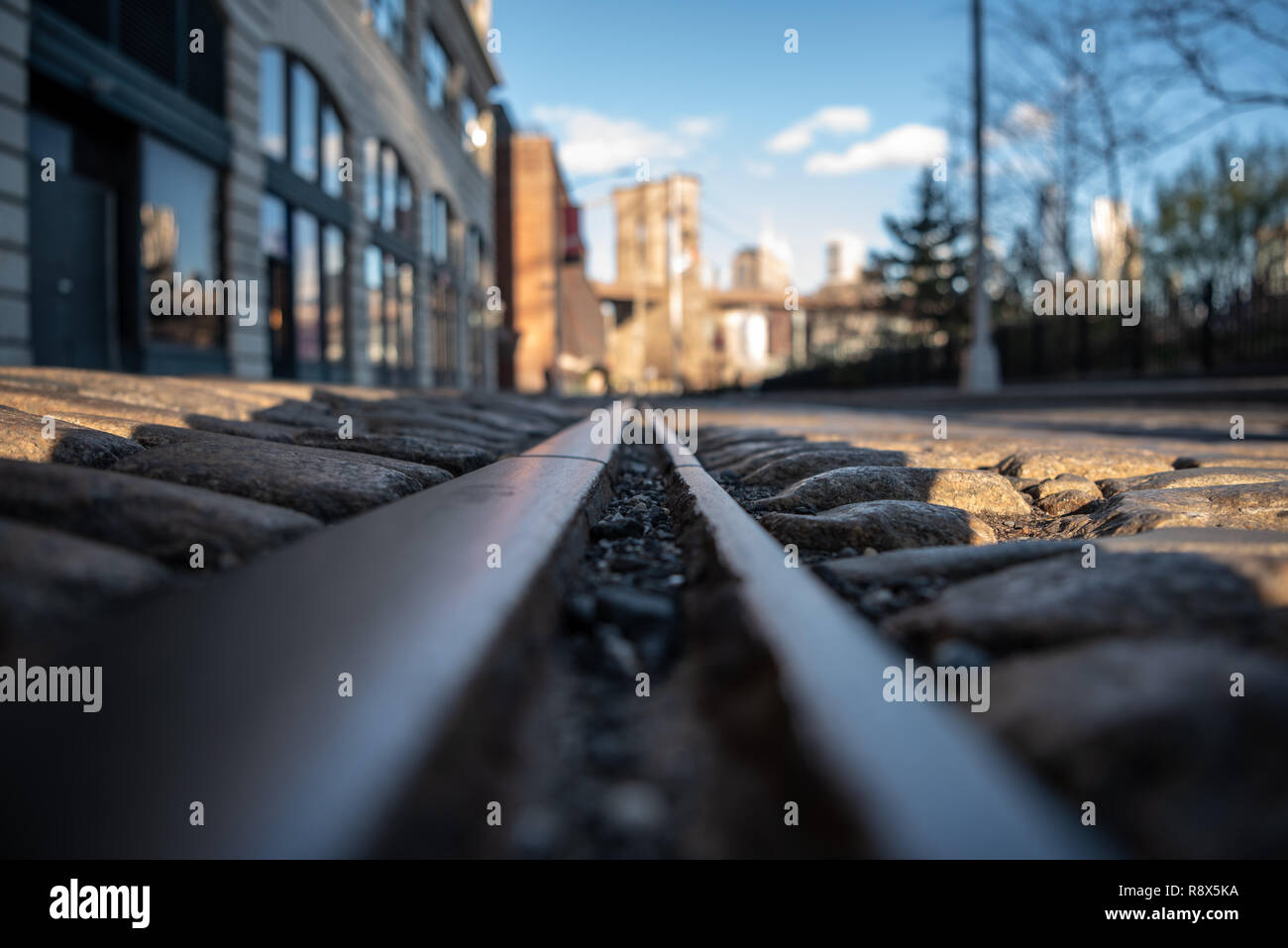 Narrow depth of field hi-res stock photography and images - Alamy