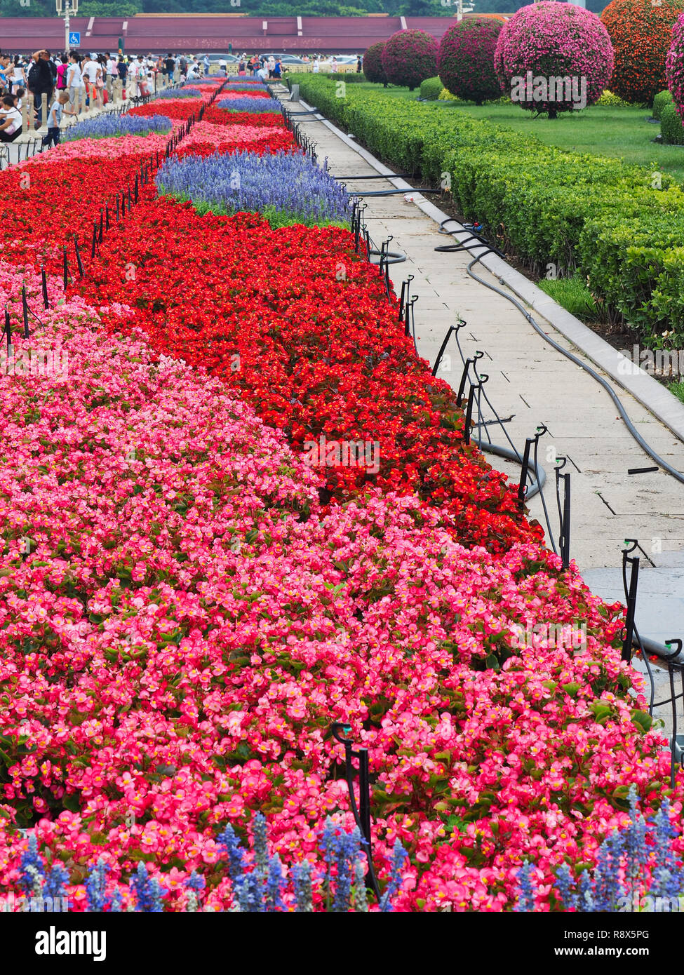Colorful china patterns hi-res stock photography and images - Alamy