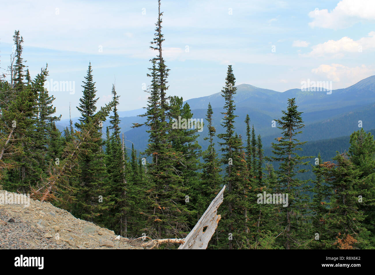 Tuva hi-res stock photography and images - Alamy