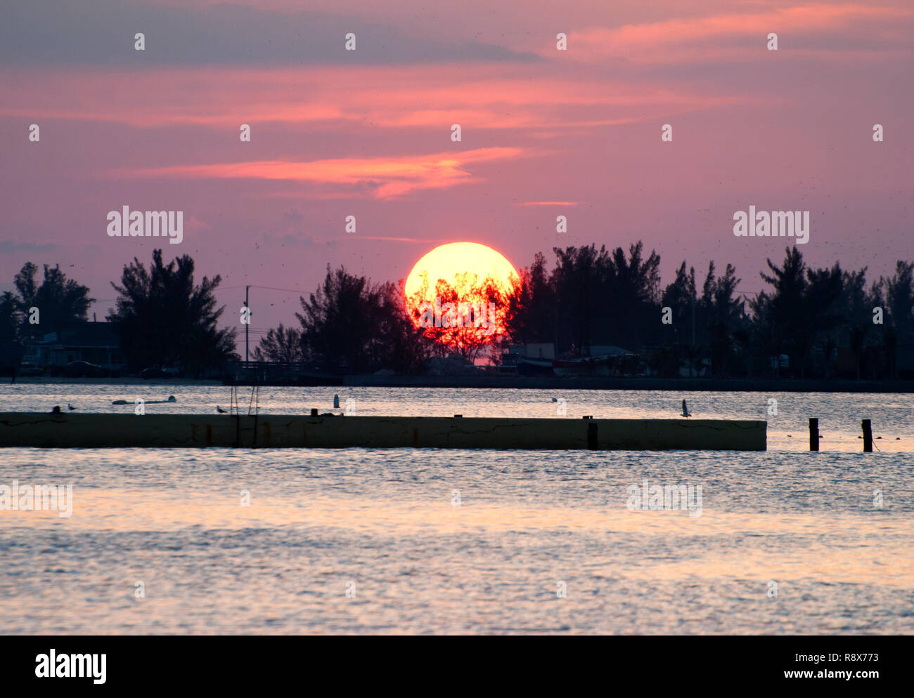 The sun is about to hide behind trees, the sunset view in Nassau city ...
