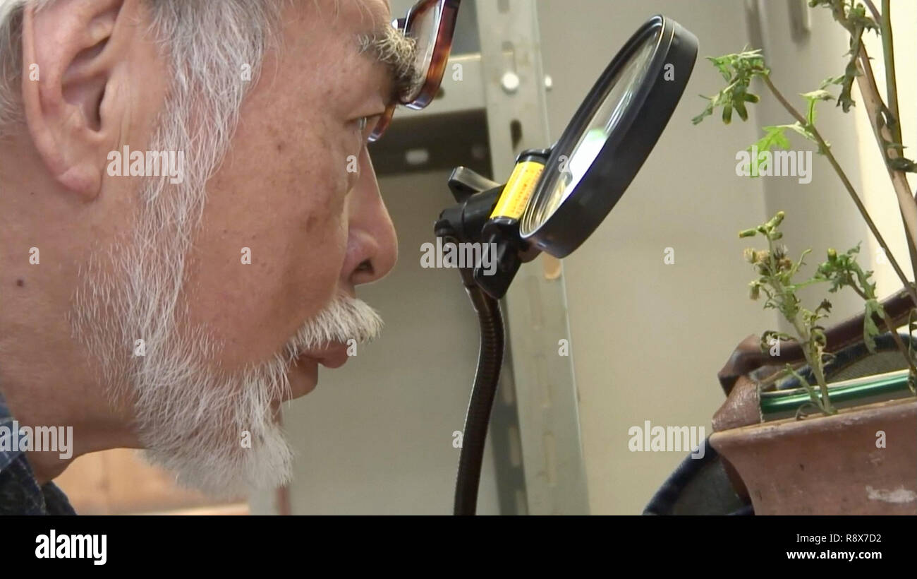 NEVER-ENDING MAN: HAYAO MIYAZAKI, (aka OWARANAI HITO: MIYAZAKI HAYAO ...