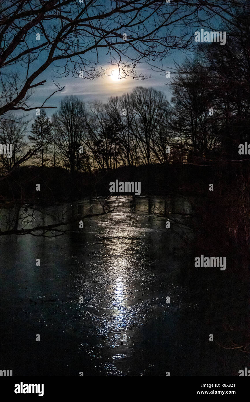Full moon landscape trees hi-res stock photography and images - Alamy