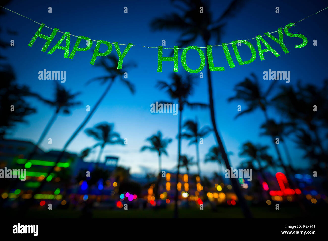 Miami trees with christmas lights hi-res stock photography and images ...