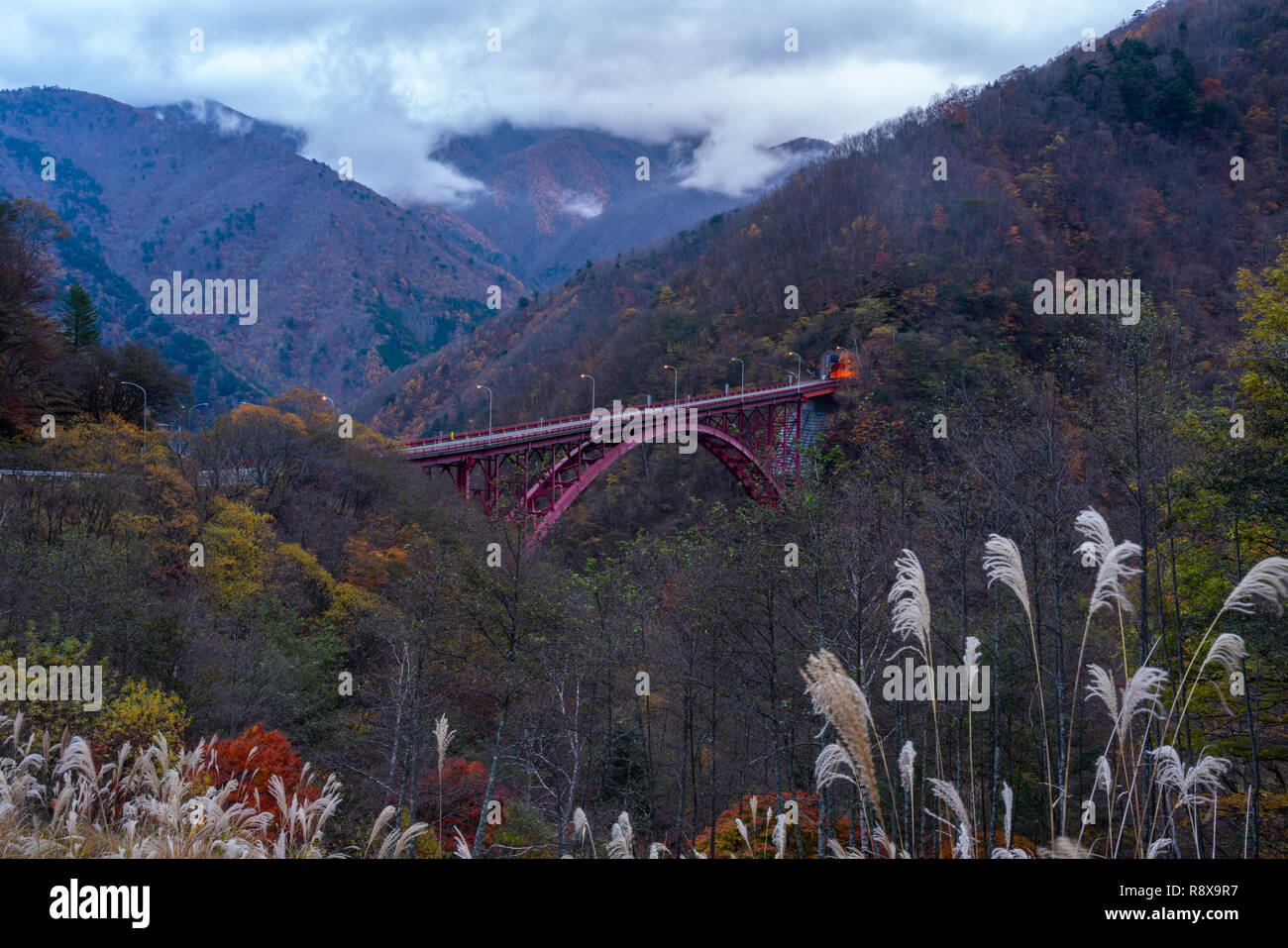 Chichibu park bridge chichibu saitama hi-res stock photography and ...