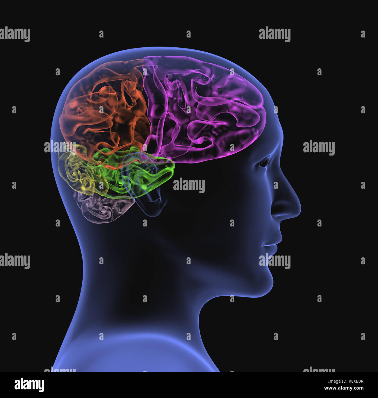 Visual perception brain hi-res stock photography and images - Alamy