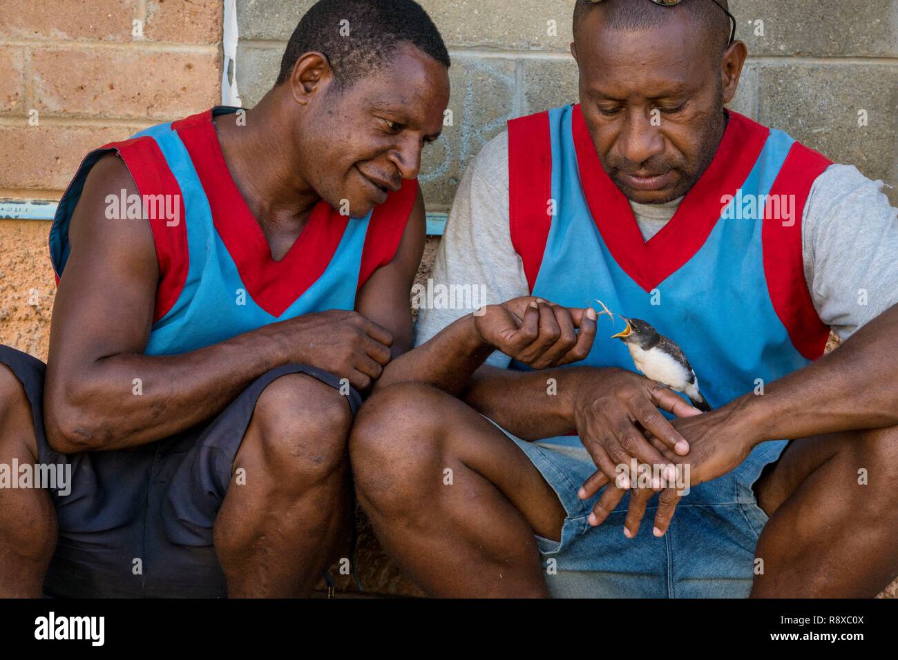 Papua New Guinea, Gulf of Papua, National Capital District, Port ...