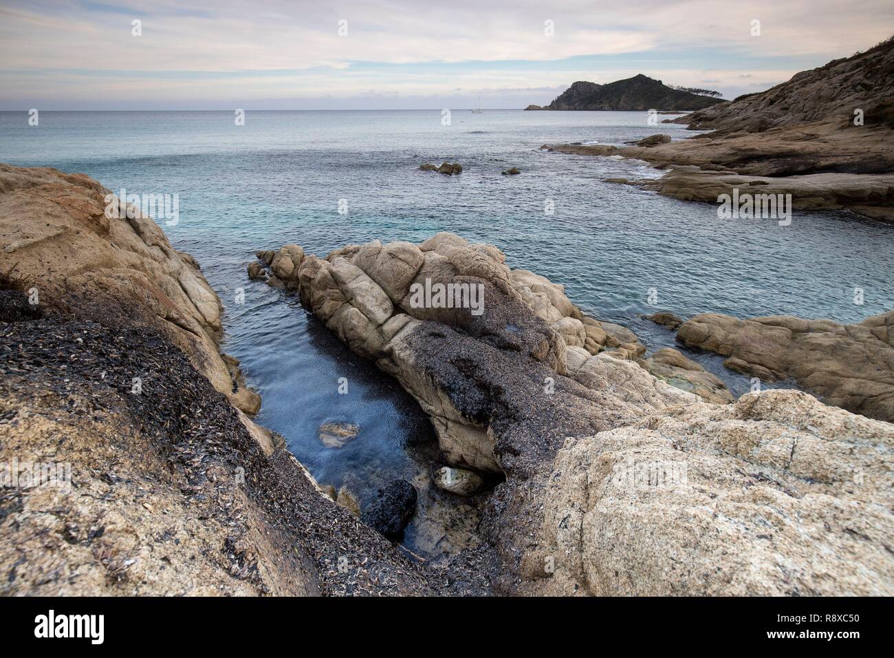 France, Var, peninsula of Saint Tropez, Ramatuelle, Cape Taillat ...