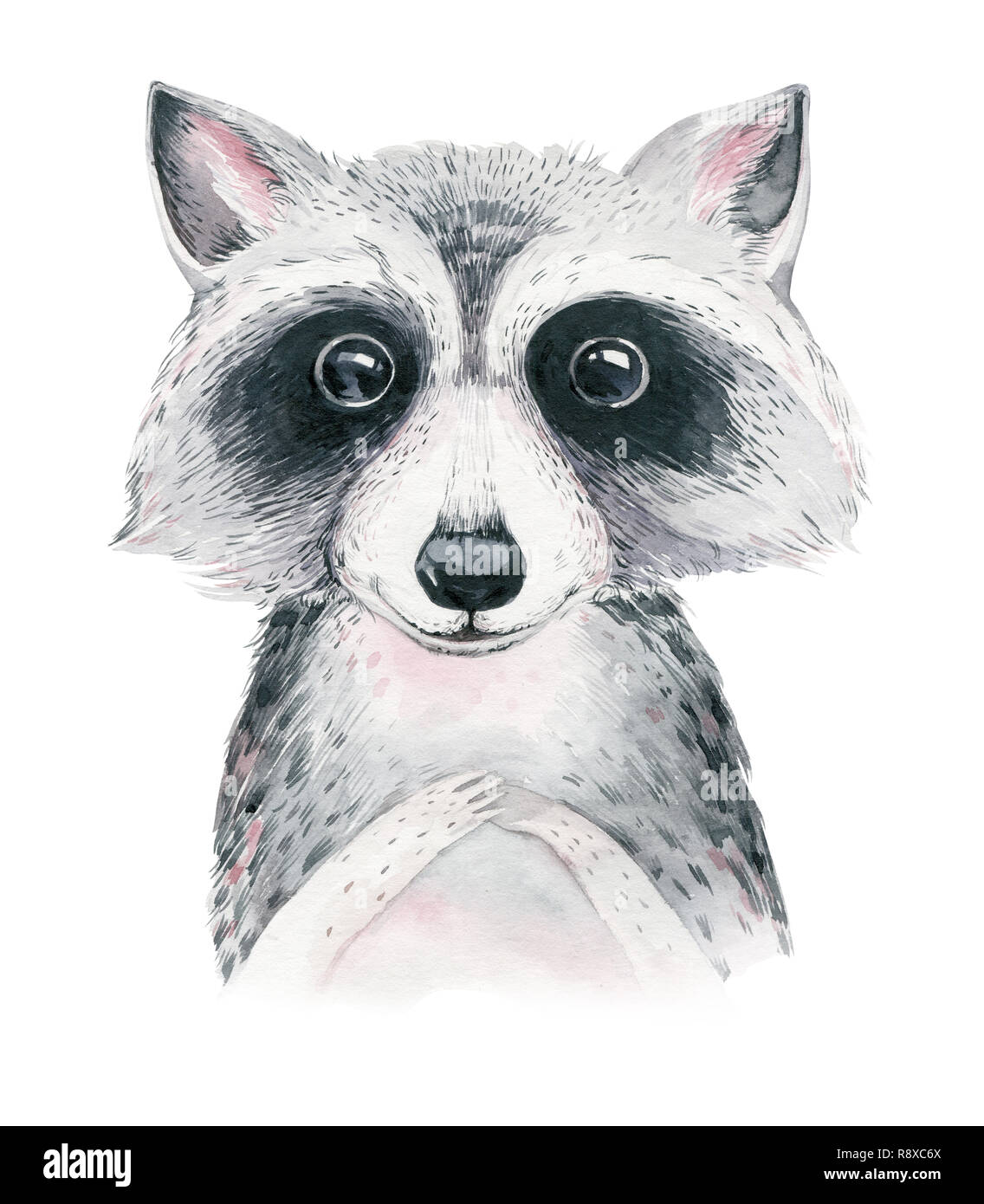 Cute Baby Raccoon Drawing