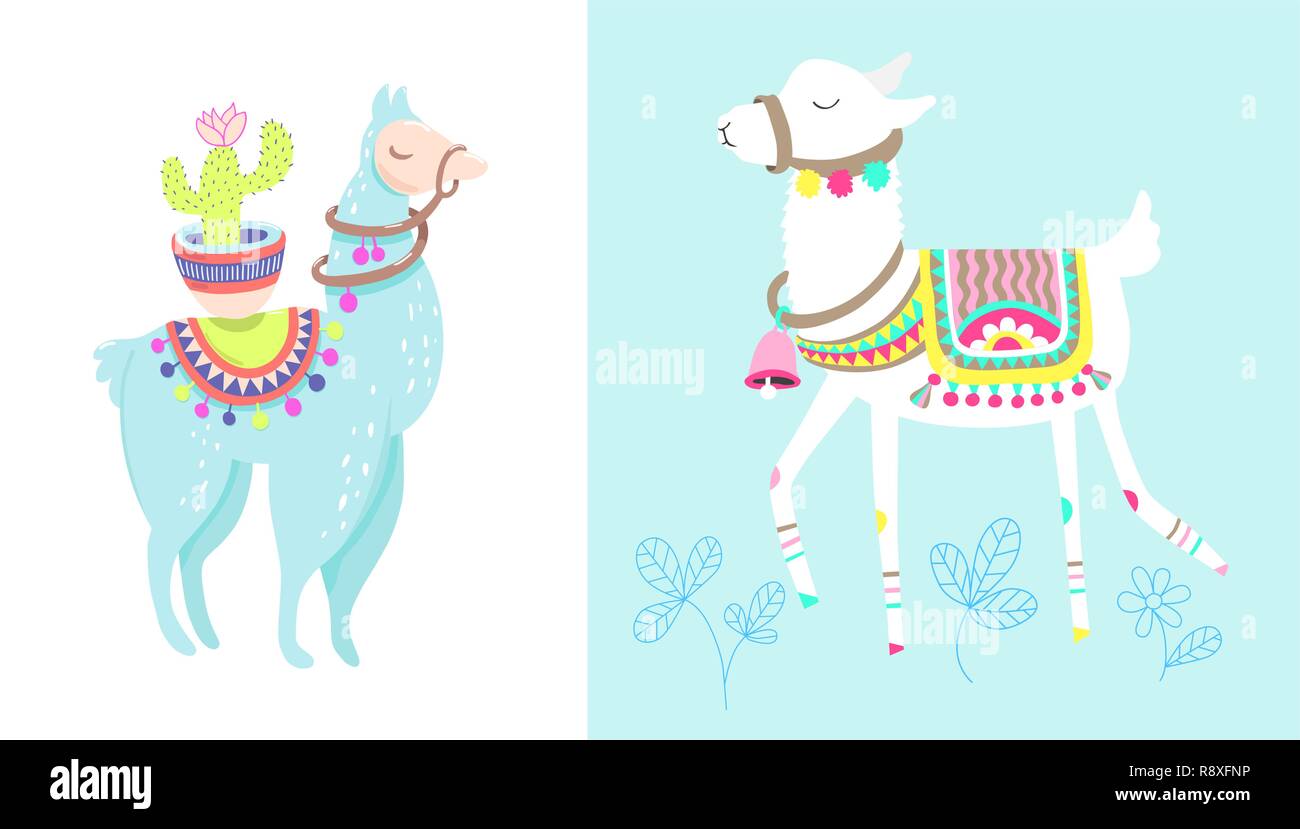 Funny llama with cactus isolated on white, blue alpaca animal Stock ...