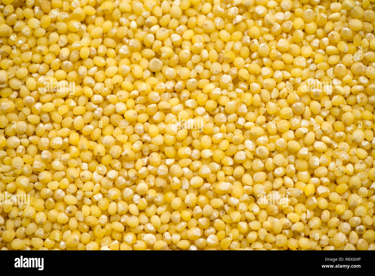 Dry millet groats in top view, abstract background for your design ...