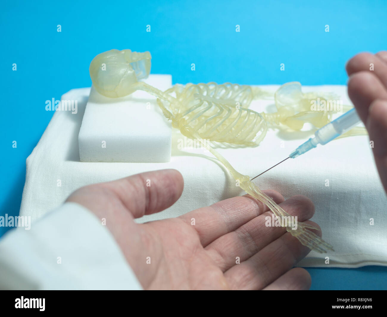 close-up of doctor hands doing injection with syringe to human skeleton ...