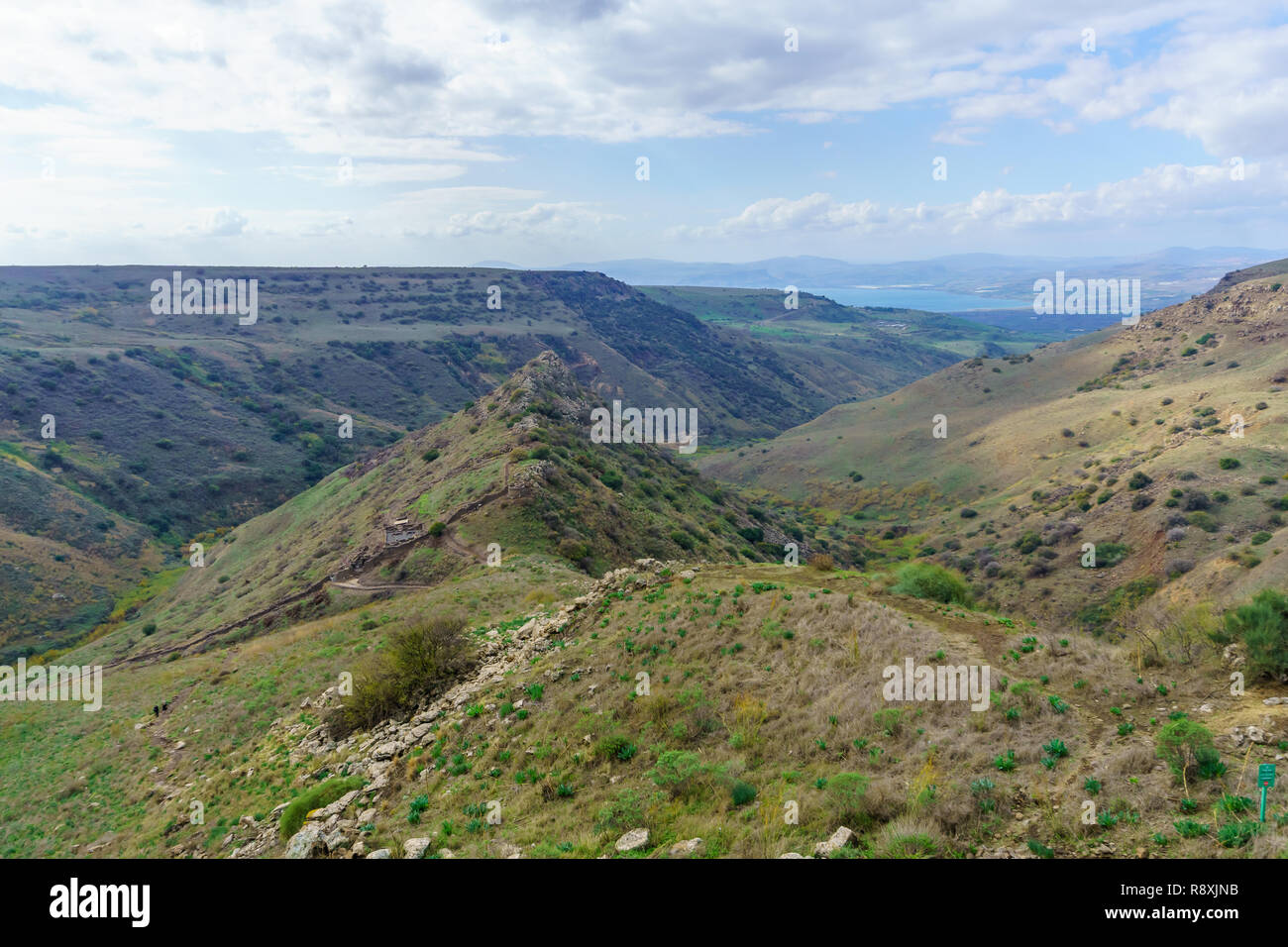 View of the remains of the ancient city and fortress of Gamla, with the ...