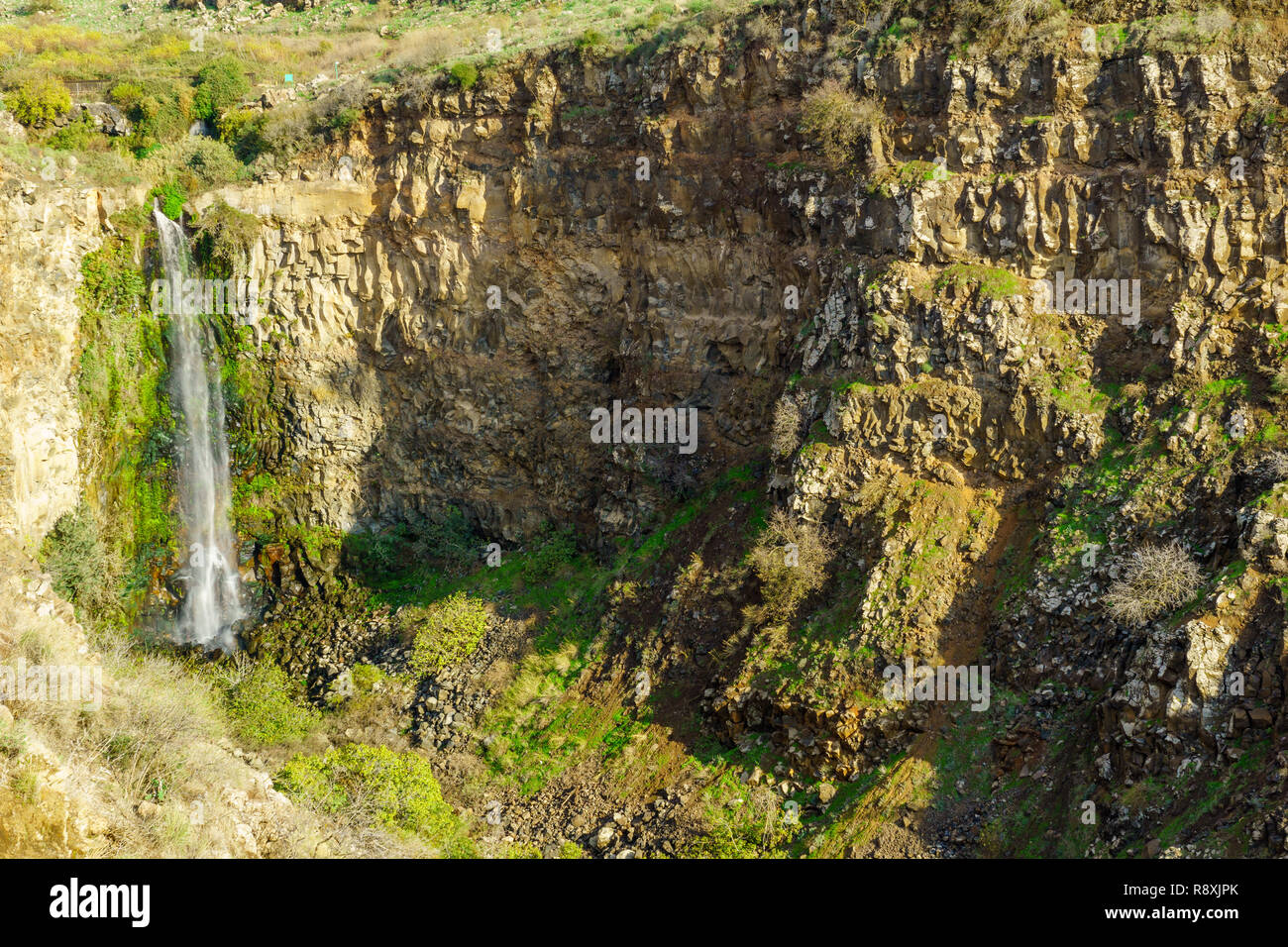 View of Gamla waterfall in Gamla National Park (Highest fall in Israel ...