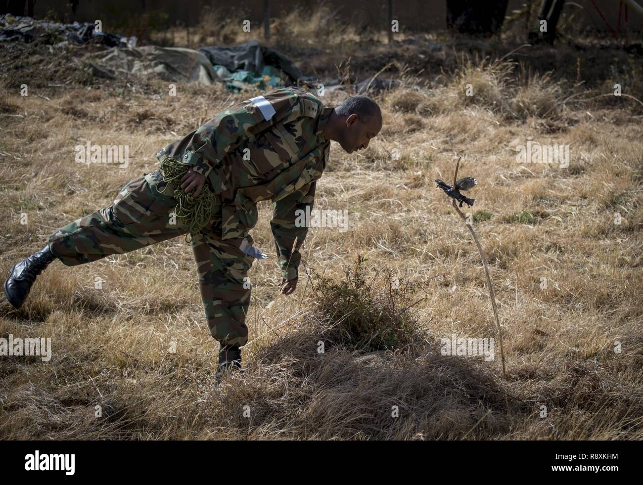 Ethiopian national defense force hi-res stock photography and images ...