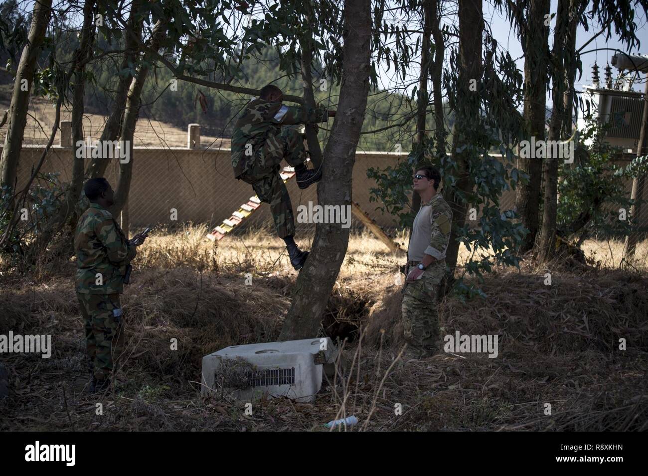 Ethiopian national defense force hi-res stock photography and images ...