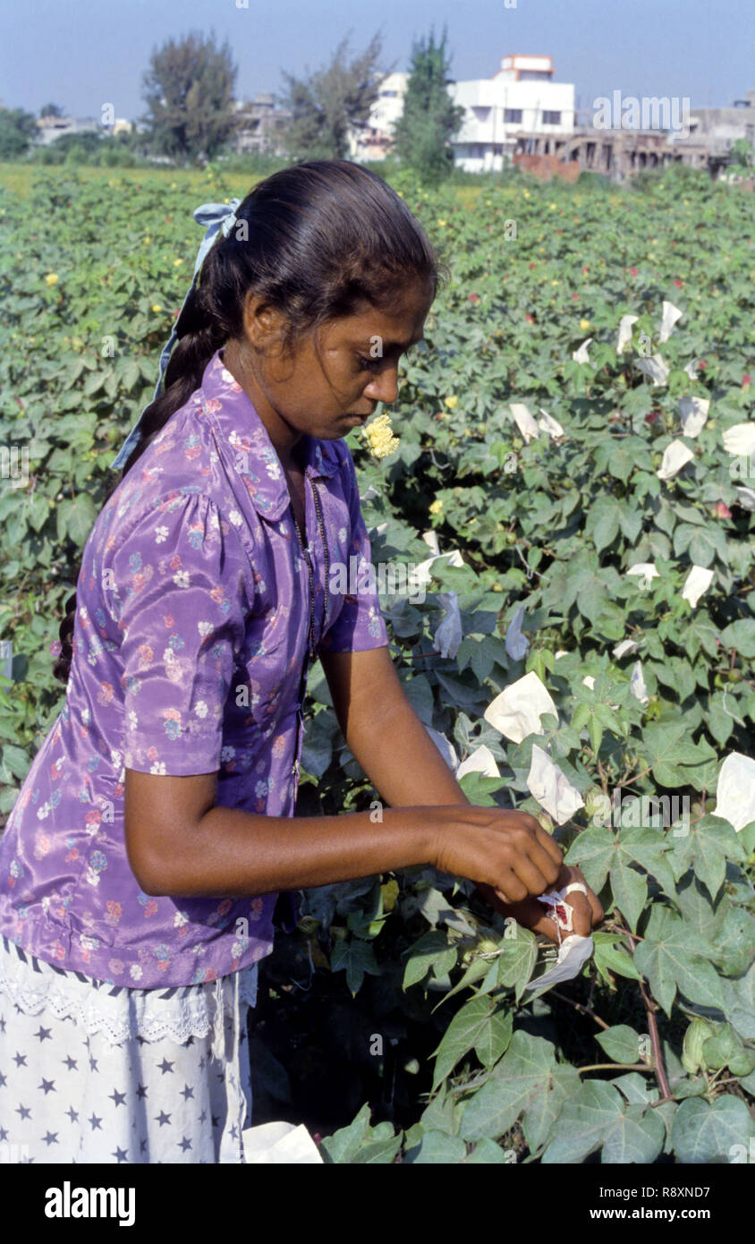 Child labour india girls hi-res stock photography and images - Alamy