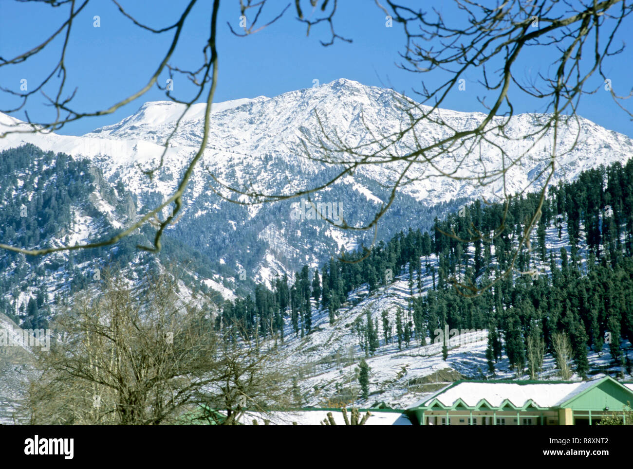 snow covered peaks in pahalgam, jammu and kashmir, india Stock Photo ...