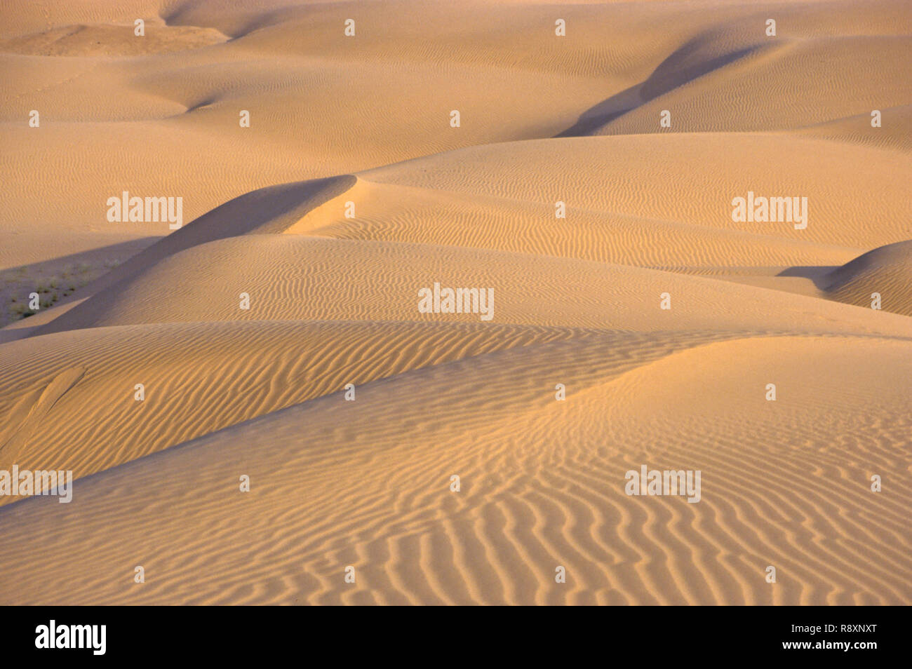 Layers Of Sand High Resolution Stock Photography and Images - Alamy