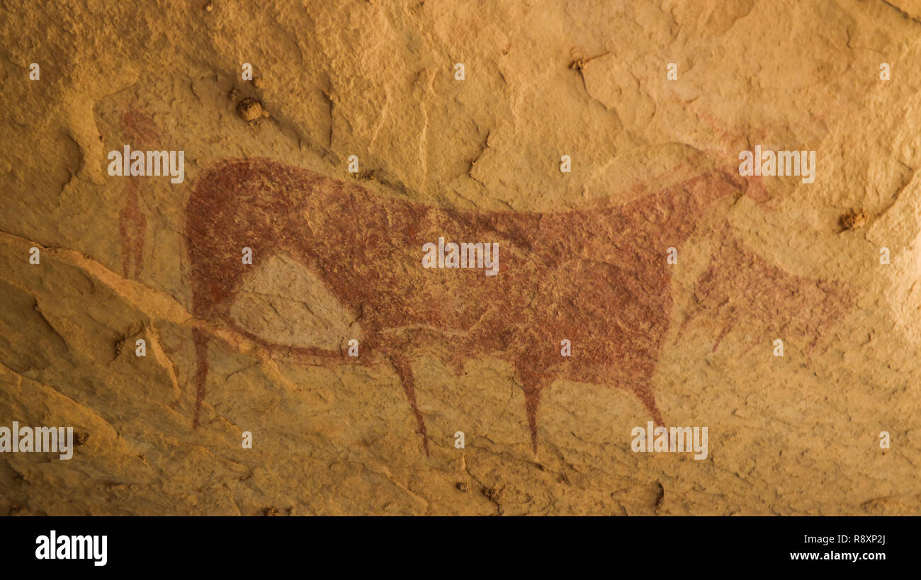 Cave painting prehistoric cow hi-res stock photography and images - Alamy