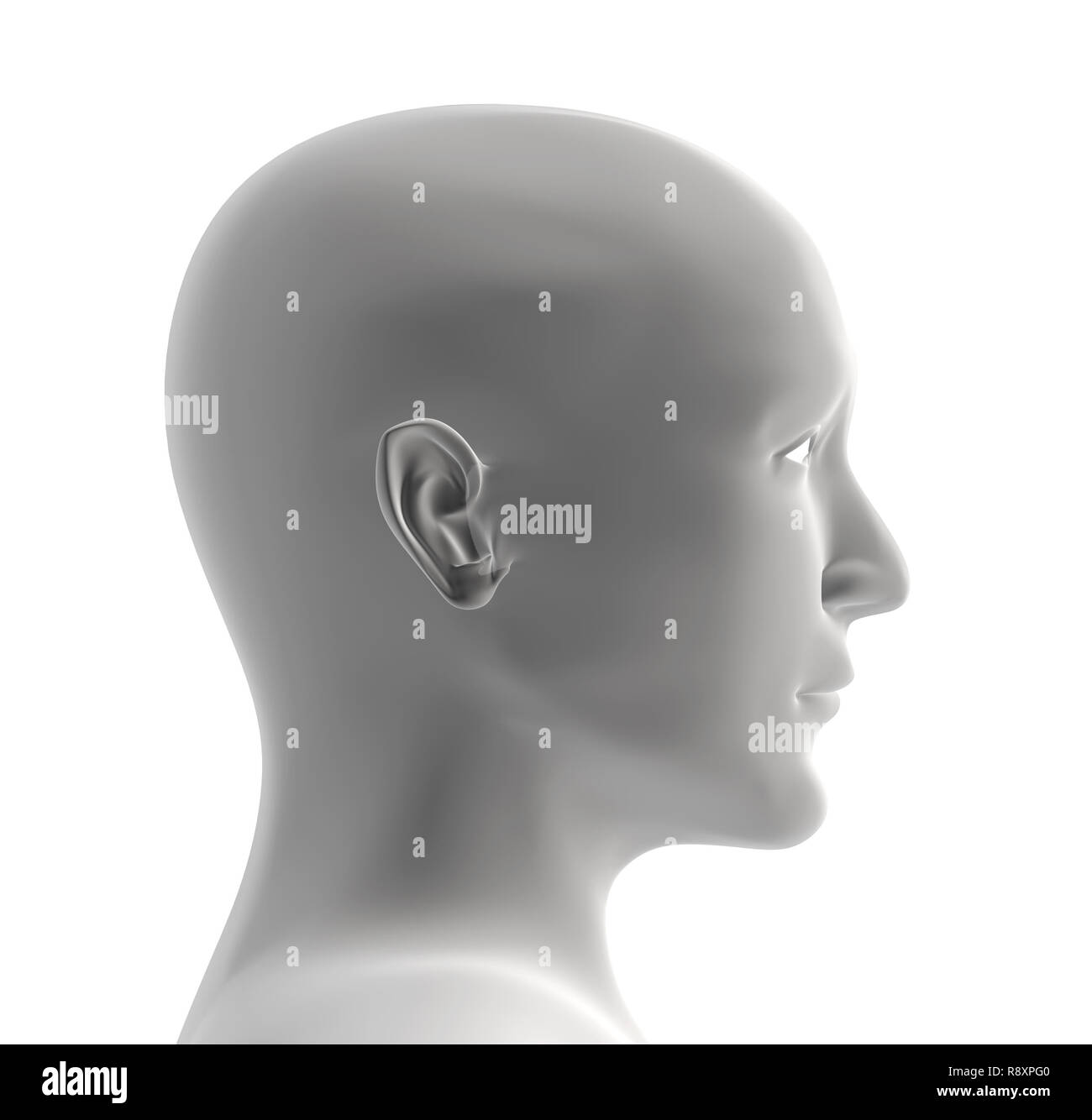 Human head of grey color. Object over white Stock Photo - Alamy