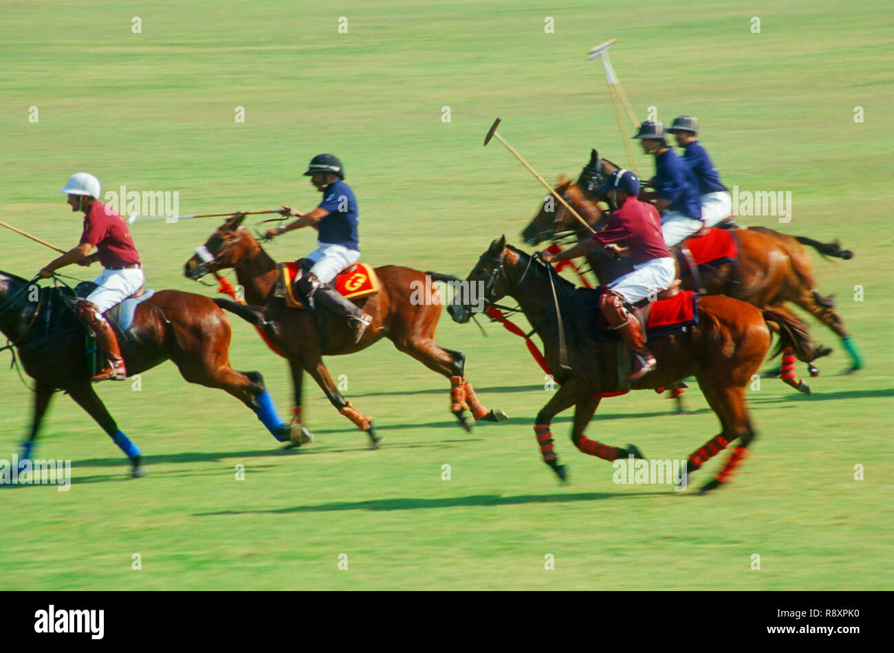 Polo games hi-res stock photography and images - Alamy
