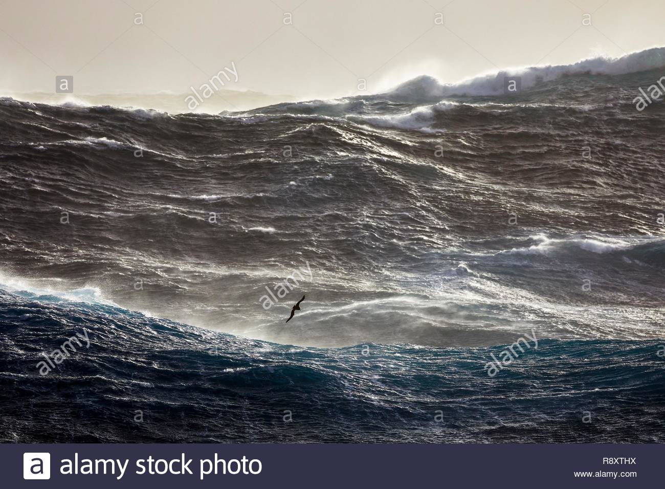 Violent Storm Stock Photos & Violent Storm Stock Images - Alamy