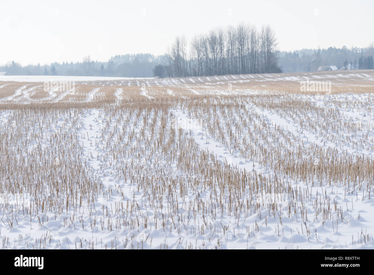 Figure ground composition hi-res stock photography and images - Alamy