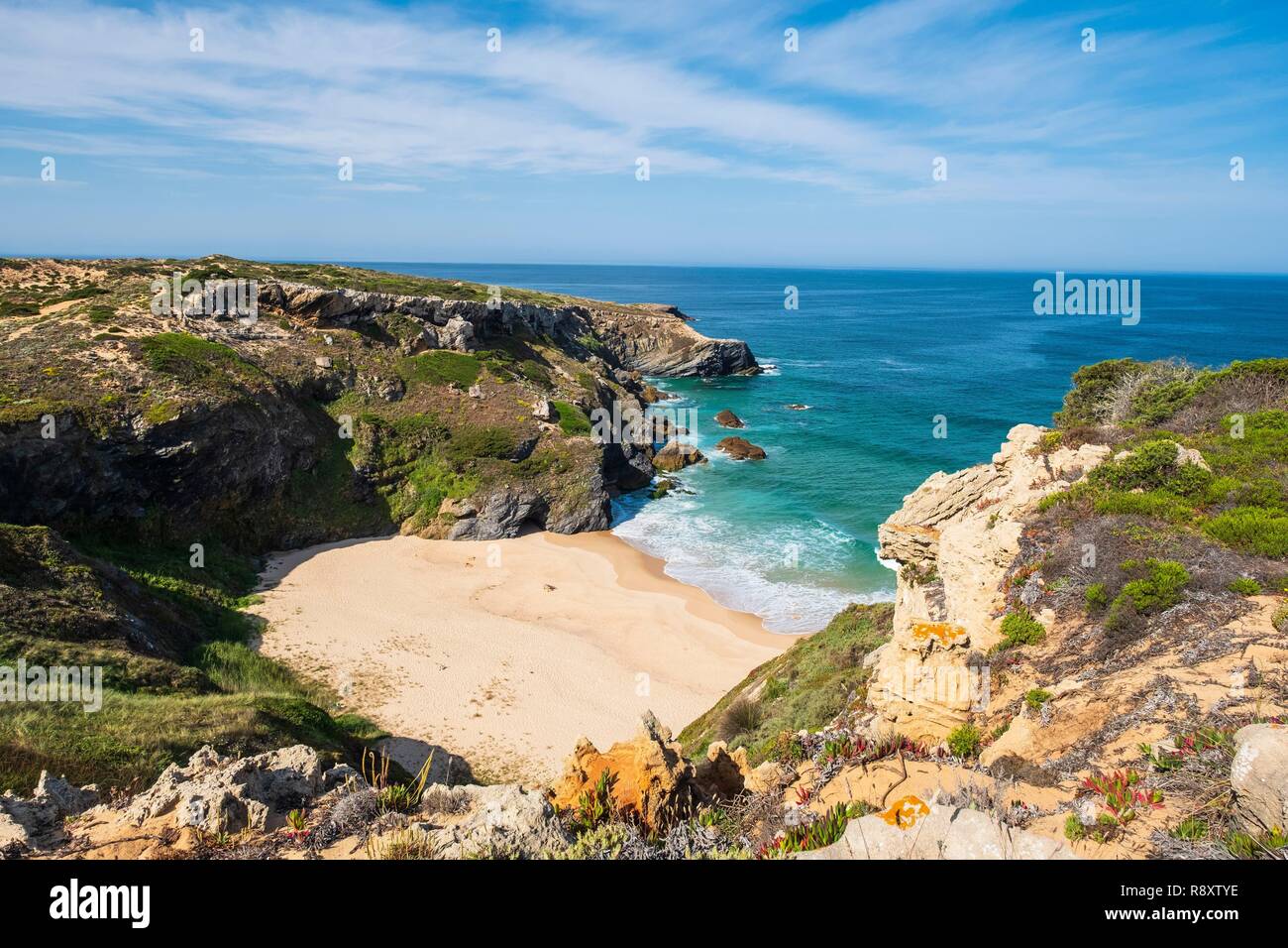 Cerva hi-res stock photography and images - Alamy