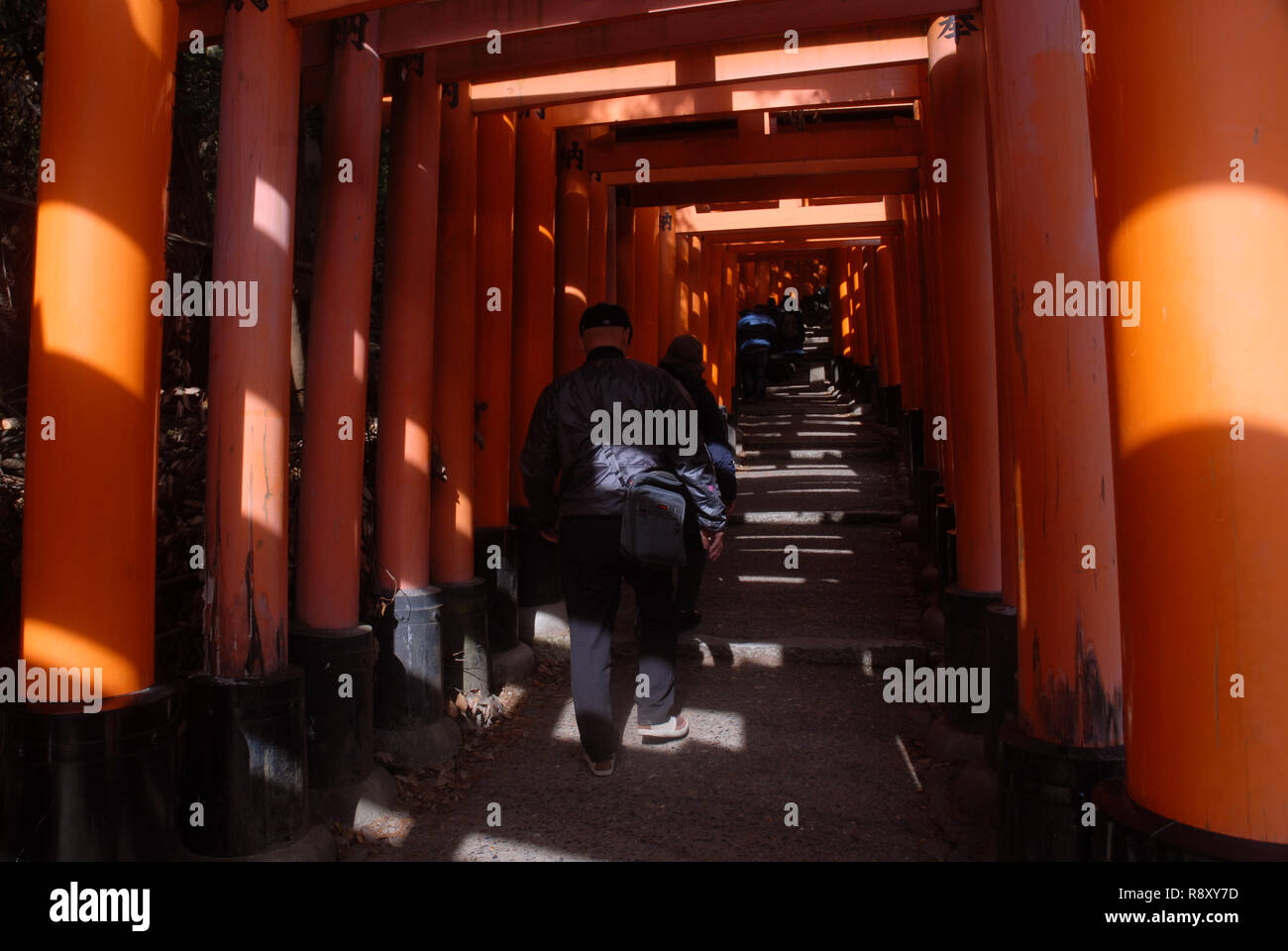 Torii gates at Fushimi Inari Shrine, Kyoto, Japan Stock Photo - Alamy