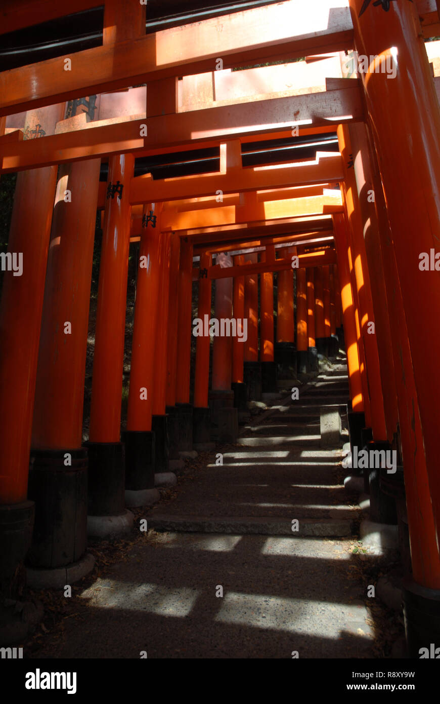 Torii gates at Fushimi Inari Shrine, Kyoto, Japan Stock Photo - Alamy