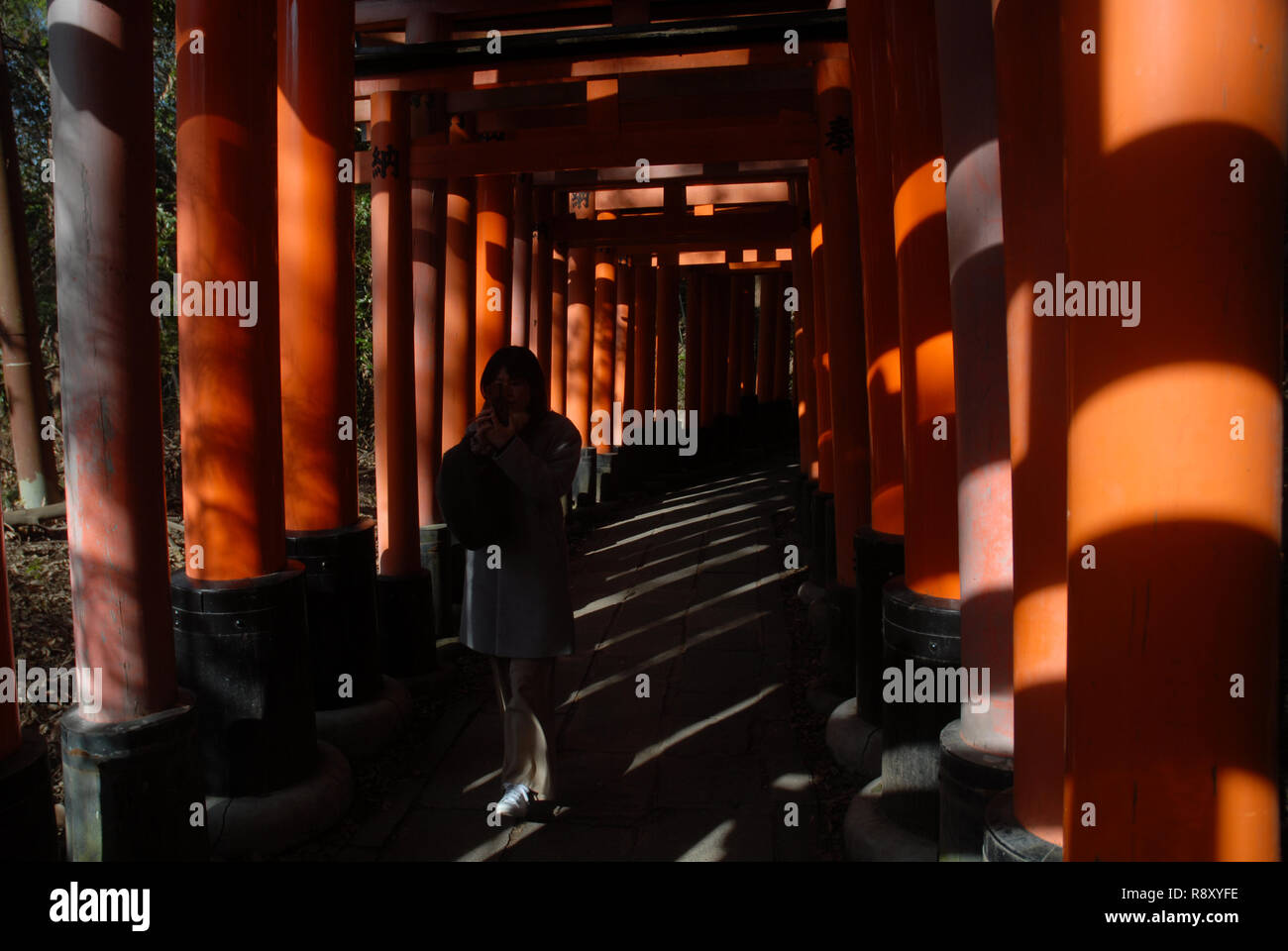 Torii gates at Fushimi Inari Shrine, Kyoto, Japan Stock Photo - Alamy