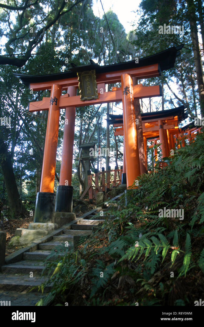 Torii gates at Fushimi Inari Shrine, Kyoto, Japan Stock Photo - Alamy
