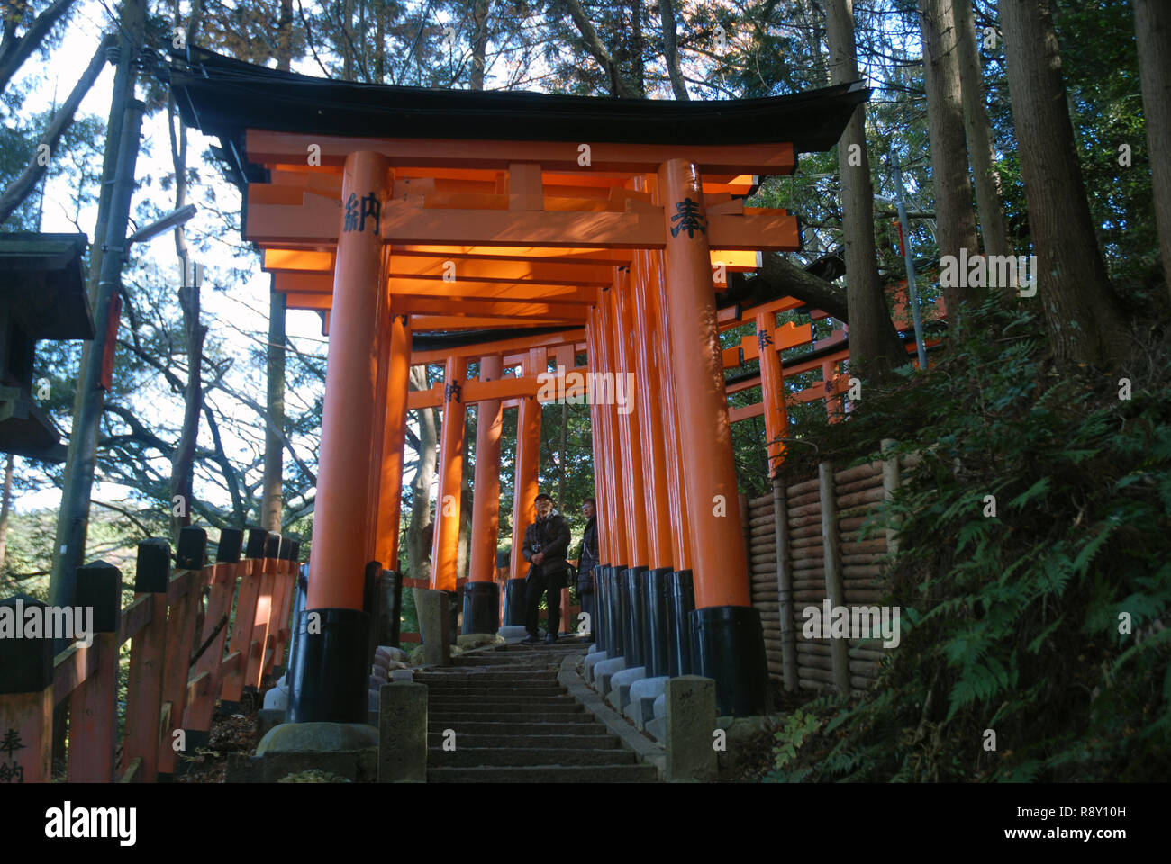 Torii gates at Fushimi Inari Shrine, Kyoto, Japan Stock Photo - Alamy