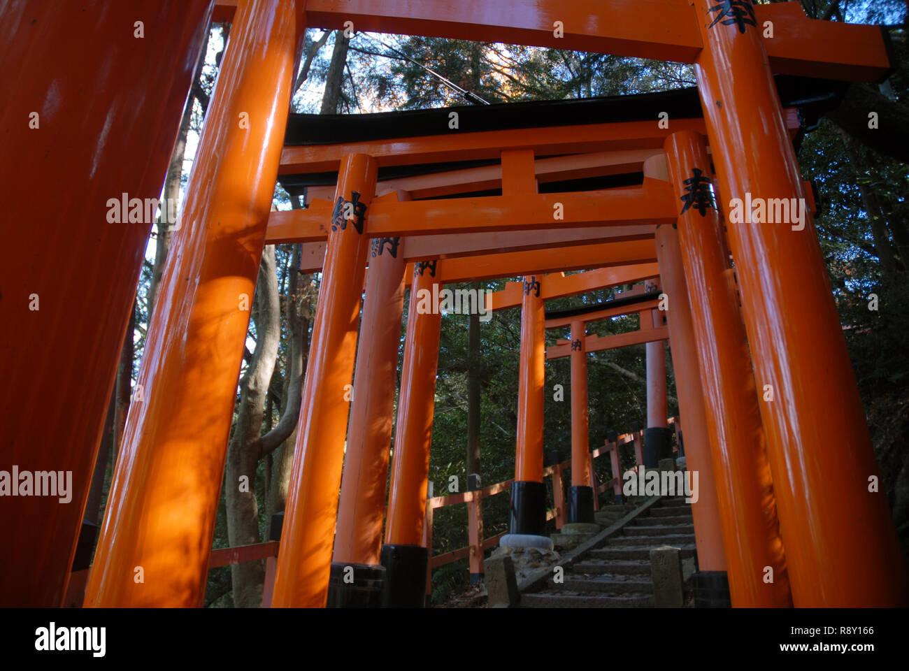 Torii gates at Fushimi Inari Shrine, Kyoto, Japan Stock Photo - Alamy