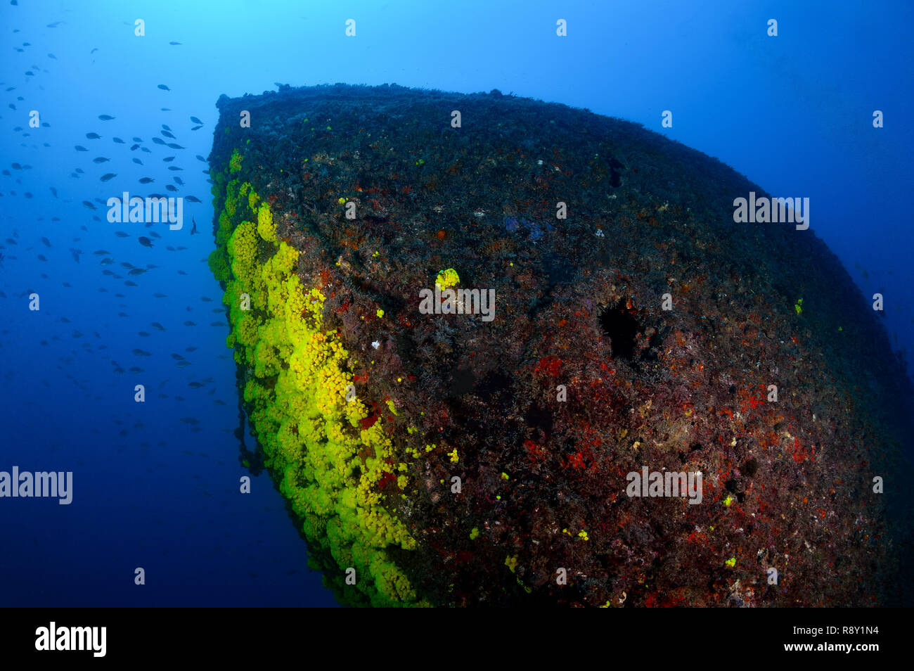 Kwarcit wreck hi-res stock photography and images - Alamy