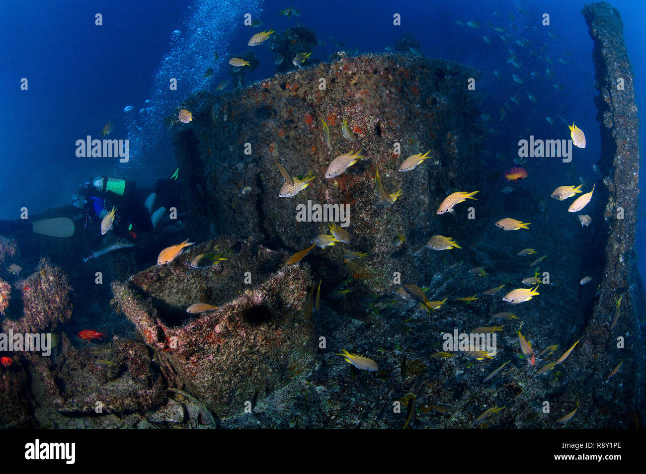 Boris Wreck in Sal- Cabo Verde Stock Photo - Alamy