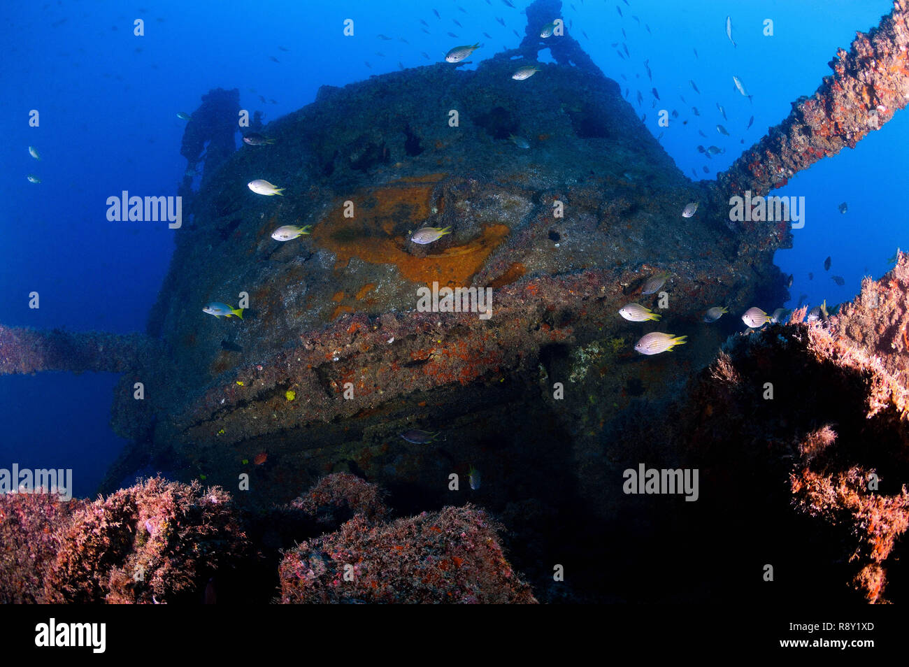 Kwarcit wreck hi-res stock photography and images - Alamy