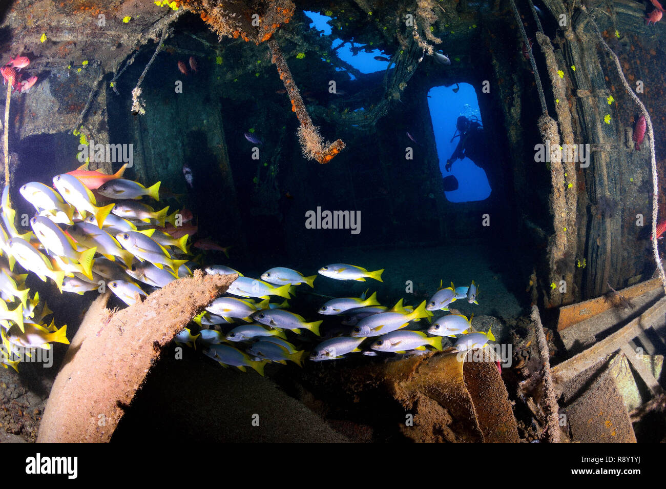 Kwarcit wreck hi-res stock photography and images - Alamy